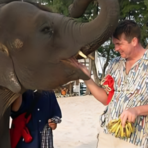 How To Check Default Isolation Level In Sql Server